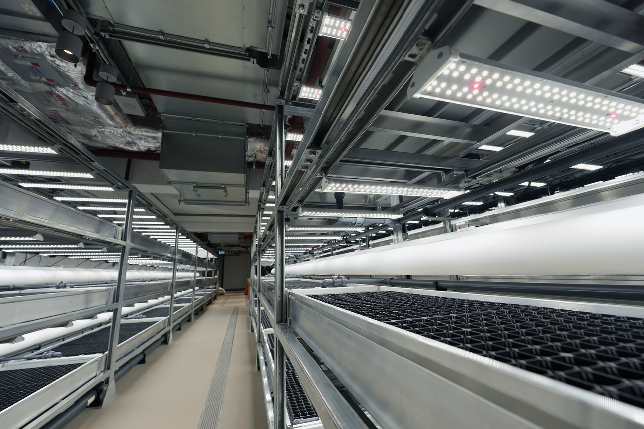 Grow Dynamics - Vertical Farm and Container Farms Developers