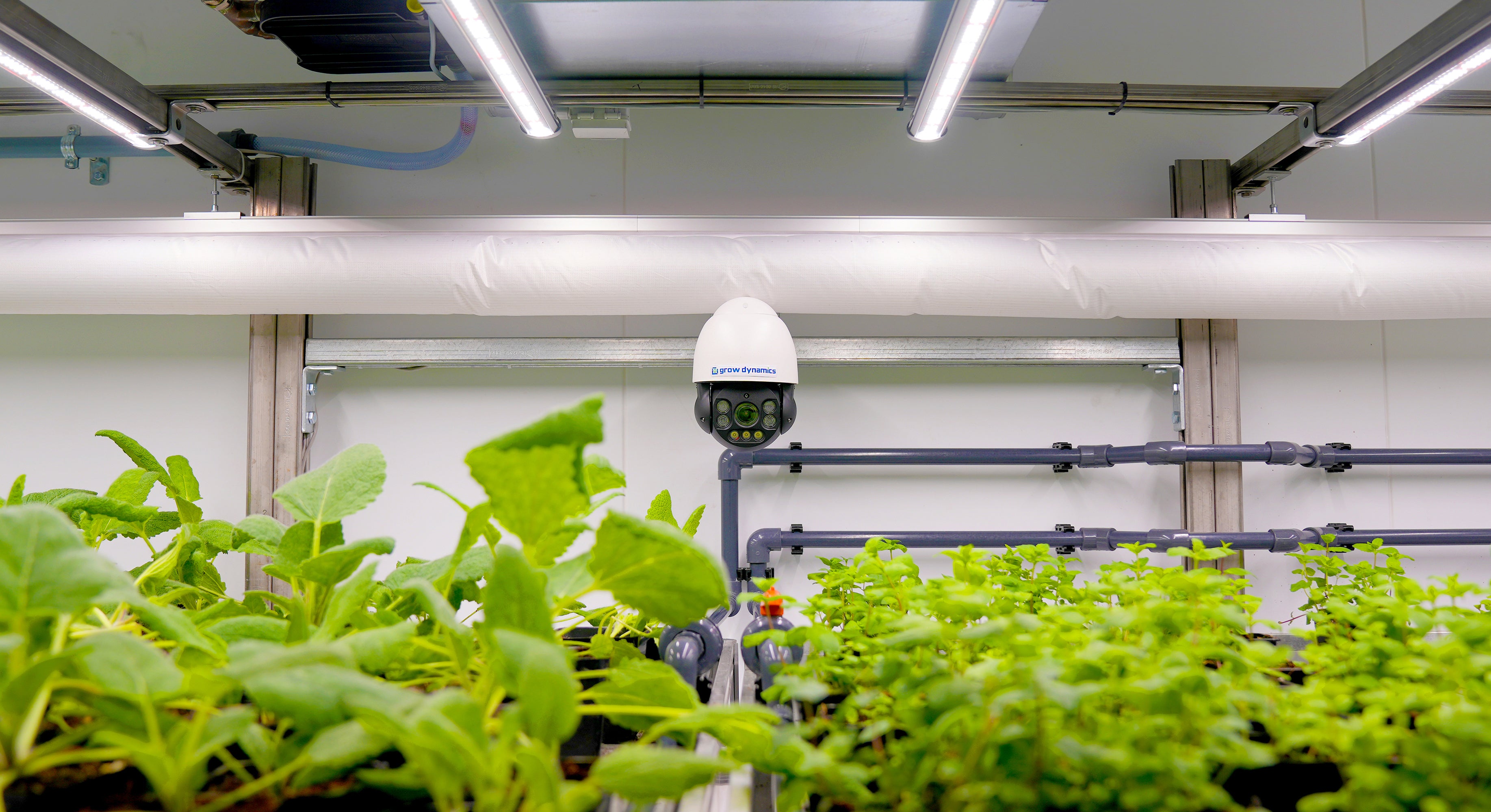 Grow Dynamics - Vertical Farm and Container Farms Developers