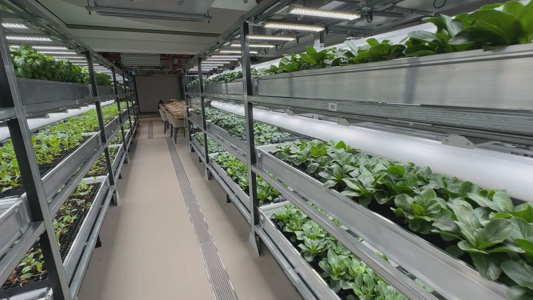 Grow Dynamics | Vertical Farming Solutions for Modern Food Production